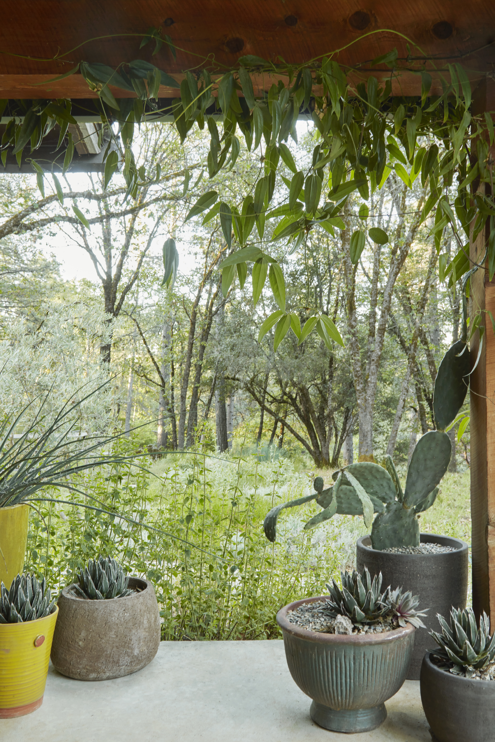 Garden Visit: At Home with Landscape Photographer Caitlin Atkinson ...