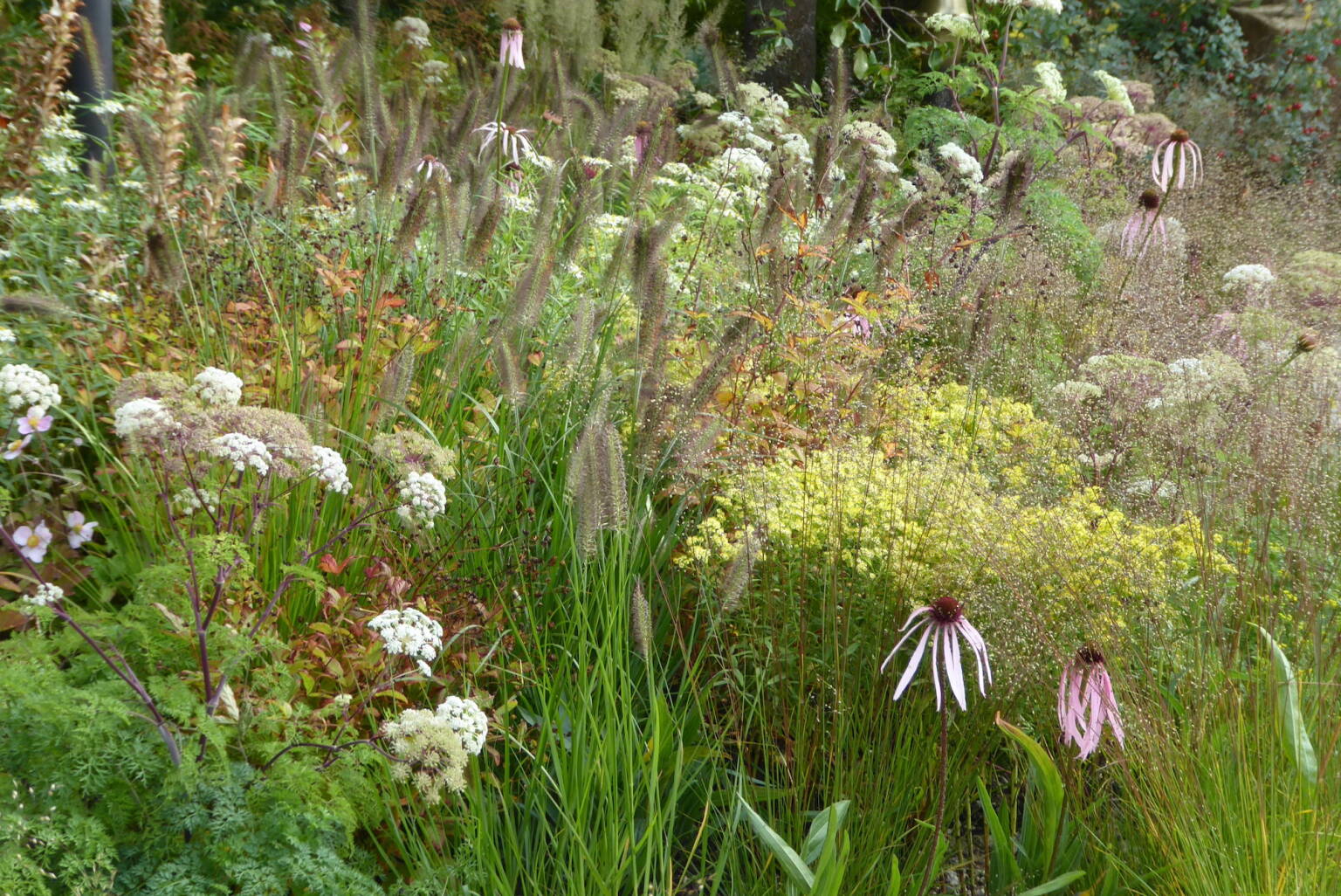 Chelsea Flower Show 2021: A Master Class in Autumn Color - Gardenista