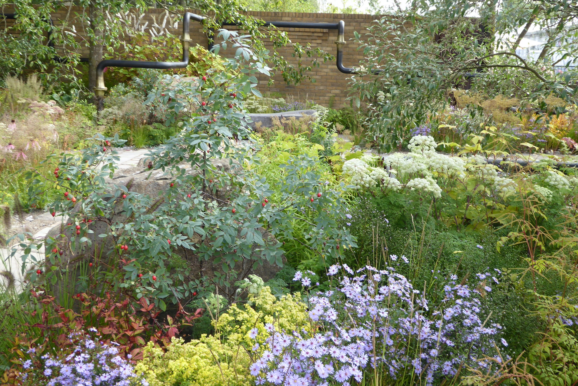 Chelsea Flower Show 2021: A Master Class in Autumn Color - Gardenista