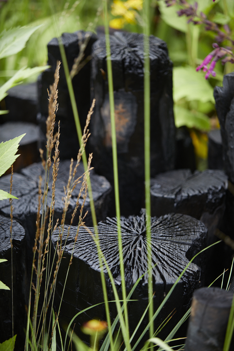 Sustainable Gardening: Lessons from Chelsea Flower Show's First Organic ...