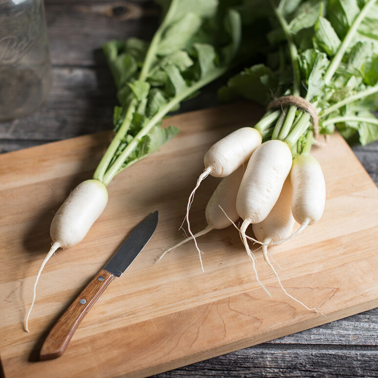 Gardening 101: Daikon Radish - Gardenista
