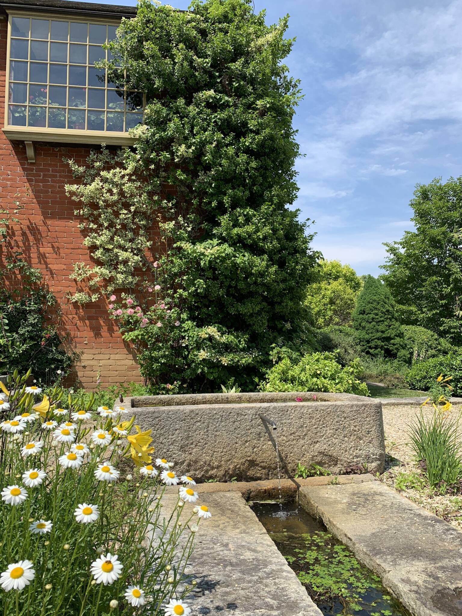 Fountains, Ponds, Etc: What to Know About Water Features for the Garden