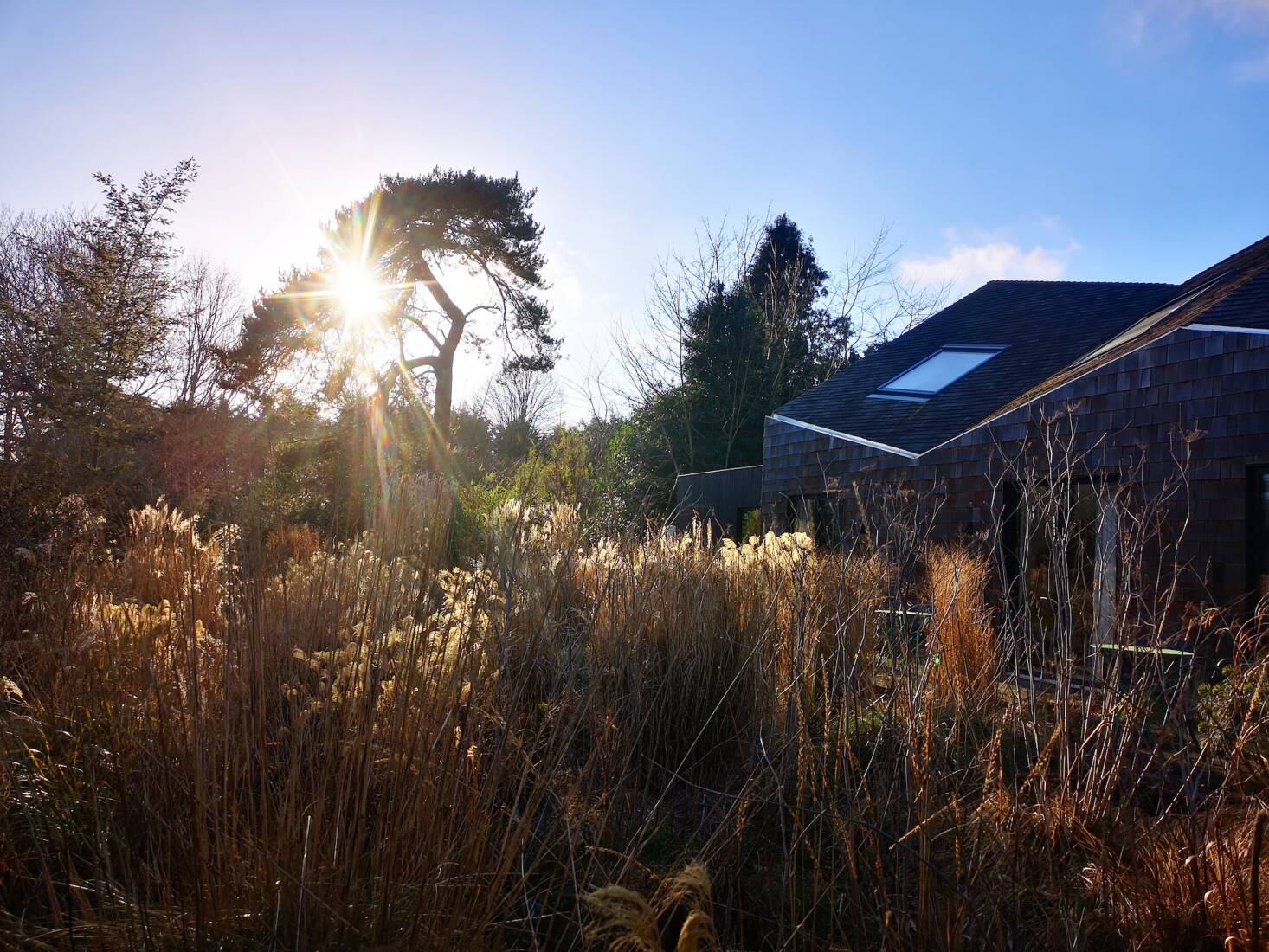 Lessons Learned: Ornamental Grasses at Five Acre Barn - Gardenista