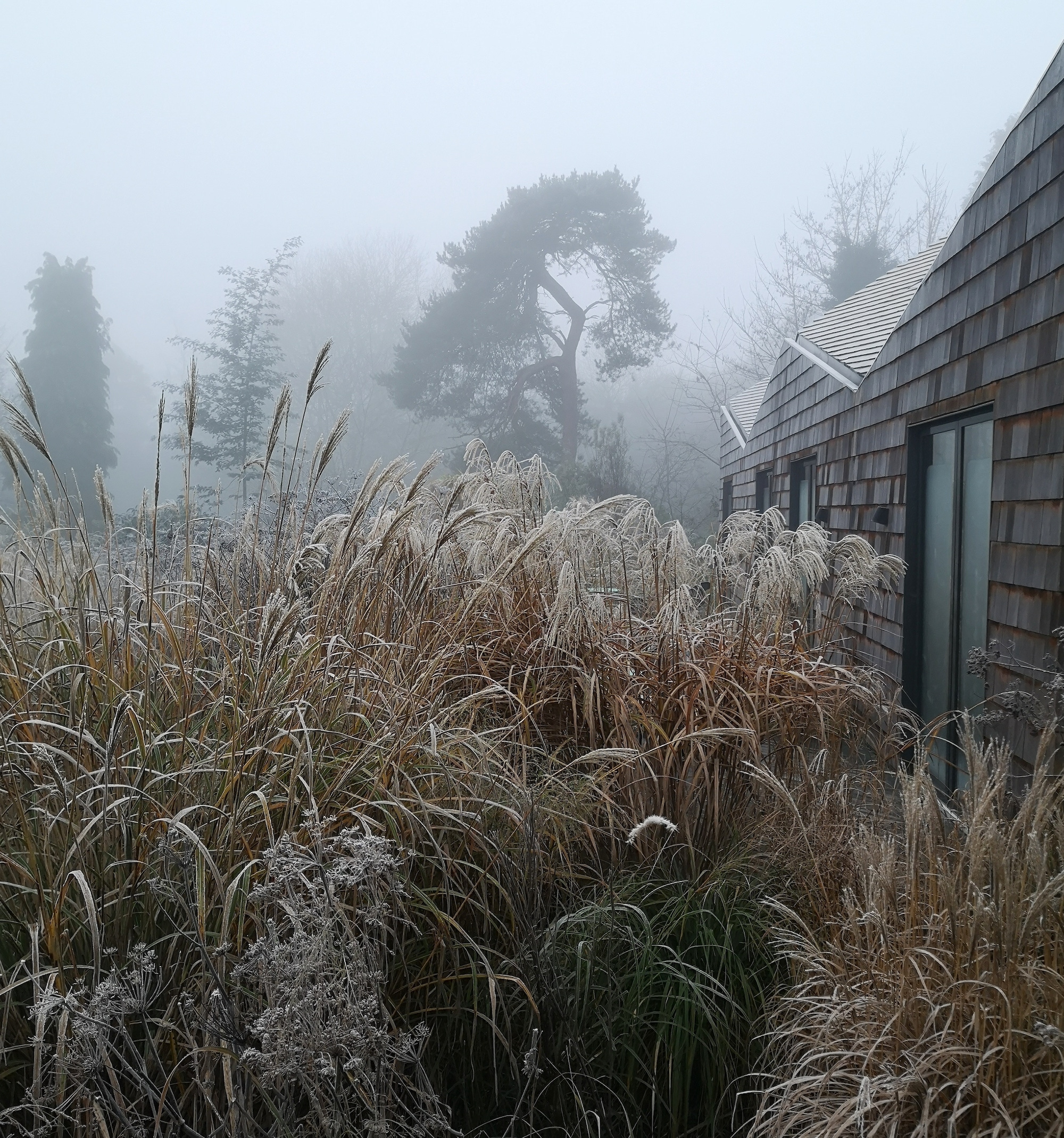 Lessons Learned: Ornamental Grasses at Five Acre Barn - Gardenista