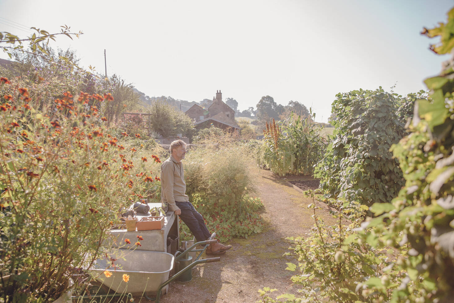 A Master Class with Dan Pearson: Advice for Anyone Creating a Garden ...