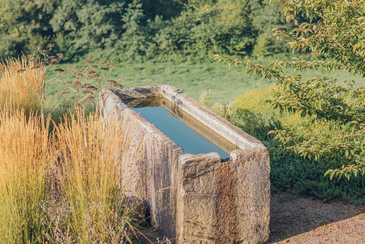 A Master Class with Dan Pearson: Advice for Anyone Creating a Garden ...