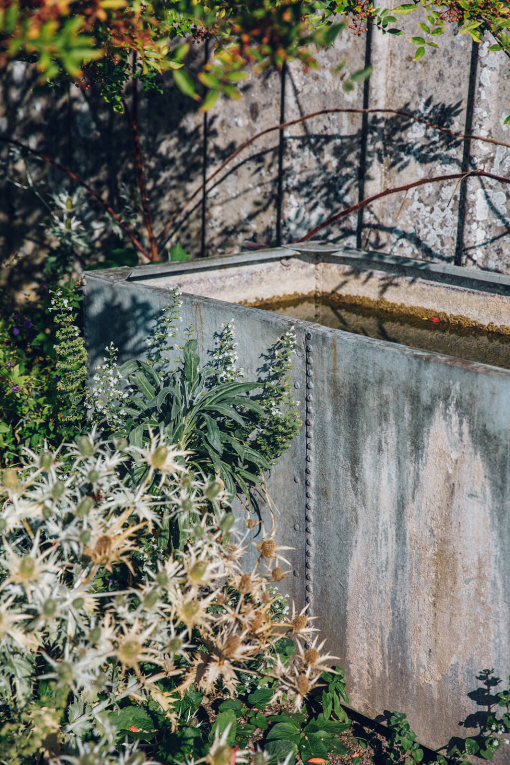 A Master Class with Dan Pearson: Advice for Anyone Creating a Garden ...