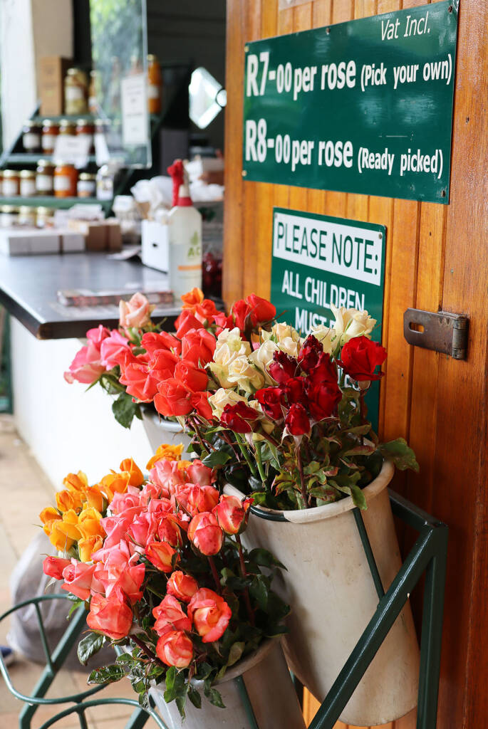 Pick Your Own Roses at Cape Town's Chart Farm - Gardenista