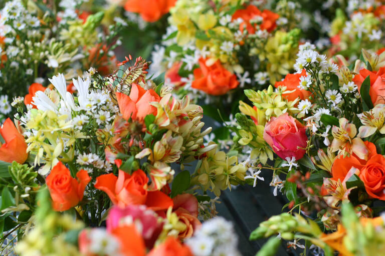 Pick Your Own Roses at Cape Town's Chart Farm - Gardenista