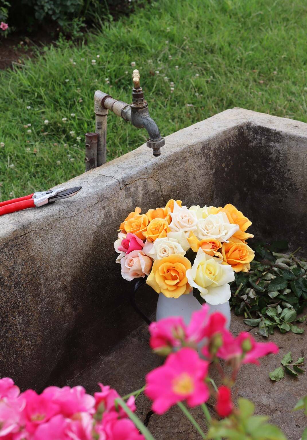 Pick Your Own Roses at Cape Town's Chart Farm - Gardenista