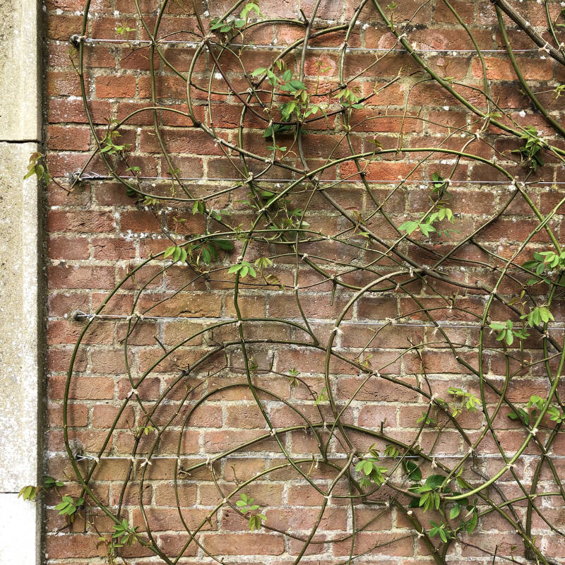 Tesla Solar Roof: Is It Worth It? - Gardenista