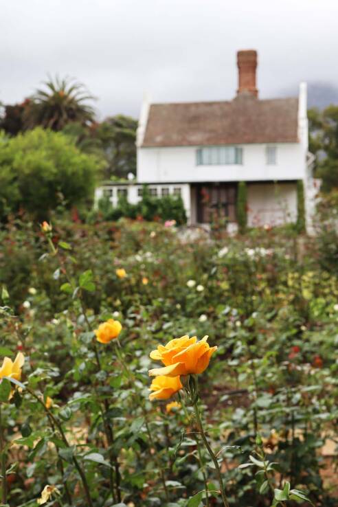 Pick Your Own Roses at Cape Town's Chart Farm - Gardenista