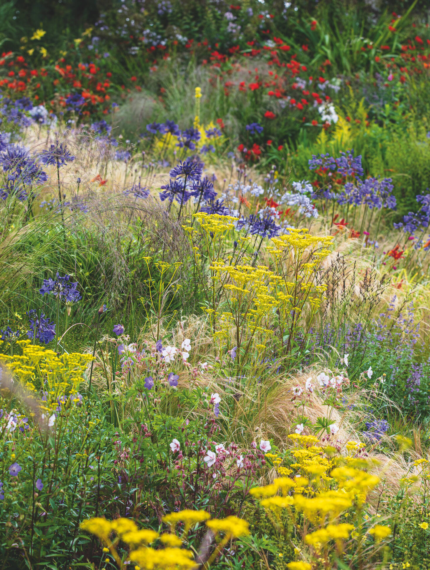 Required Reading: 'Wild: The Naturalistic Garden' by Noel Kingsbury ...