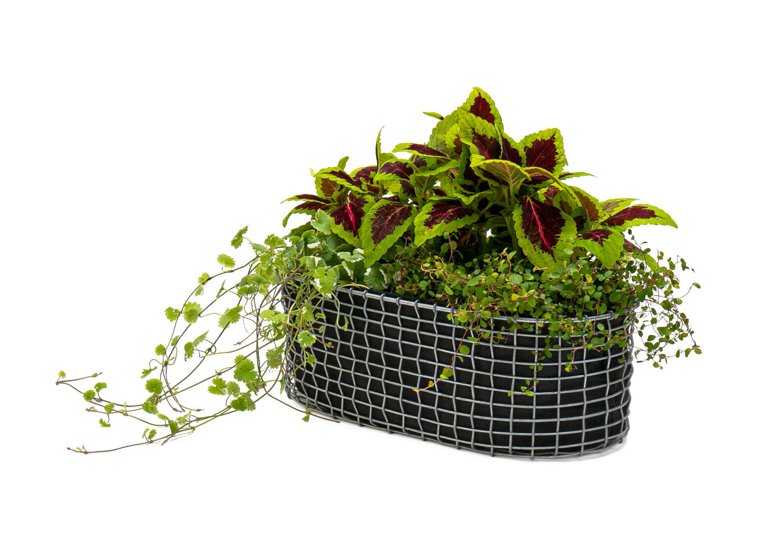 The Korbo all-weather Planter Basket for the Garden and Balcony
