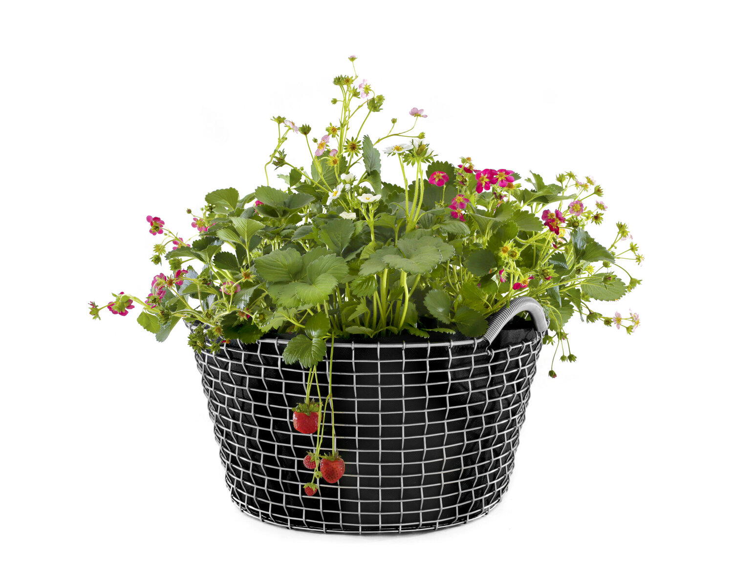 The Korbo all-weather Planter Basket for the Garden and Balcony