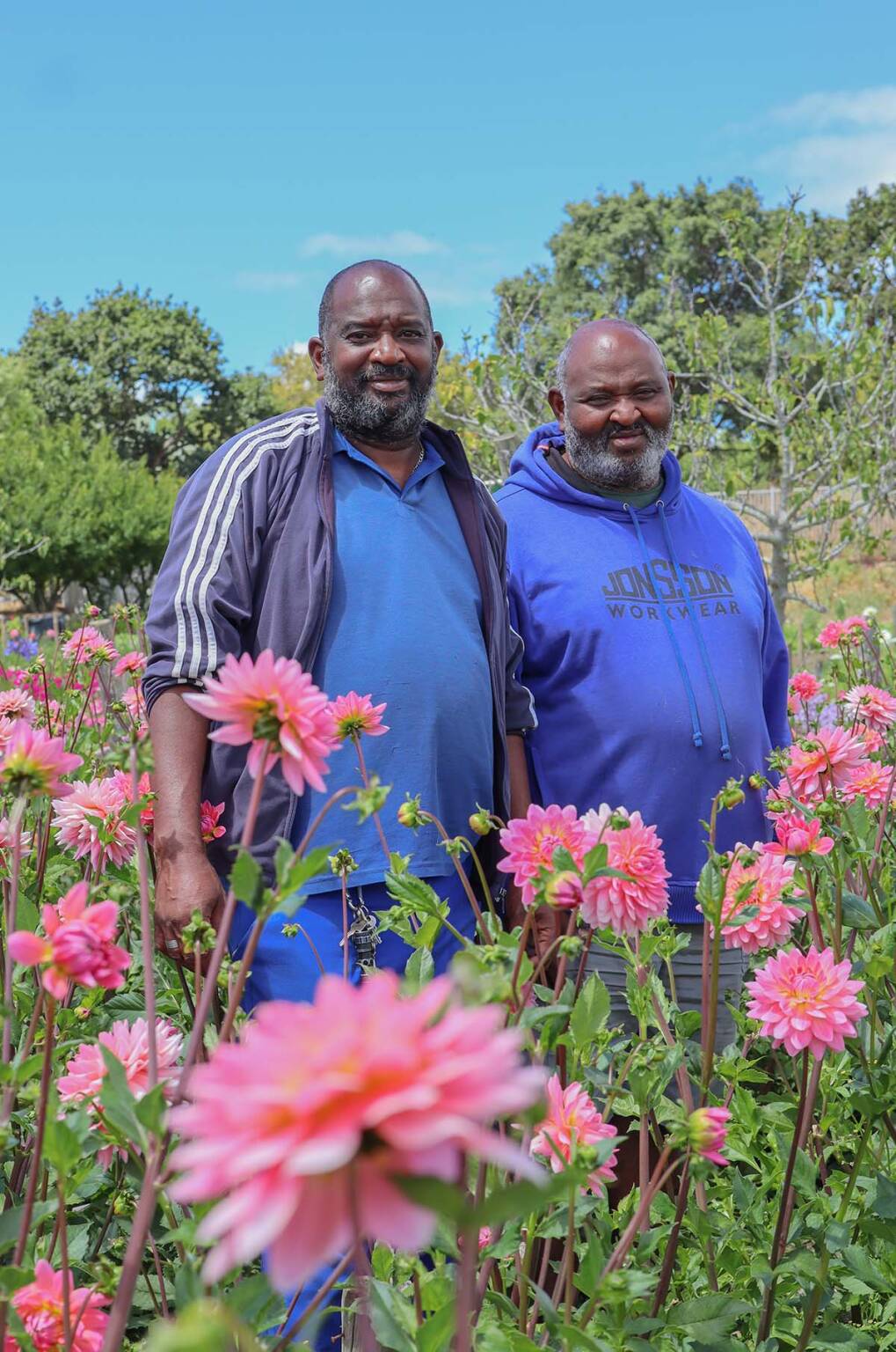 Jaftha's Flower Farm in Cape Town: A Painful History, A Bright Future ...