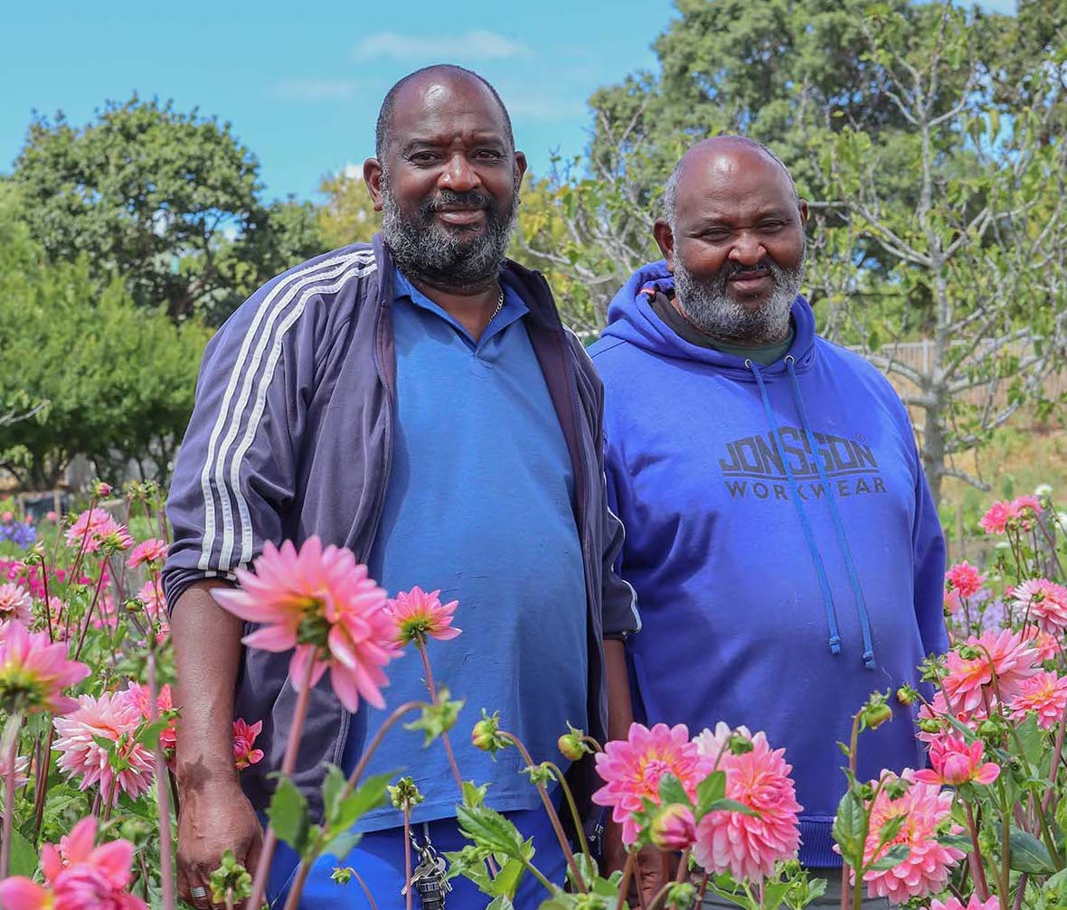 Jaftha's Flower Farm in Cape Town: A Painful History, A Bright Future ...