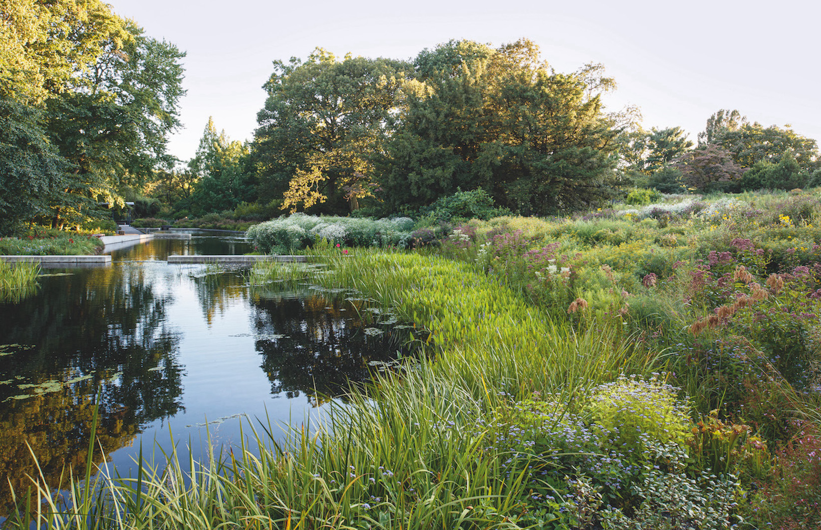 Required Reading: 'Wild: The Naturalistic Garden' by Noel Kingsbury ...