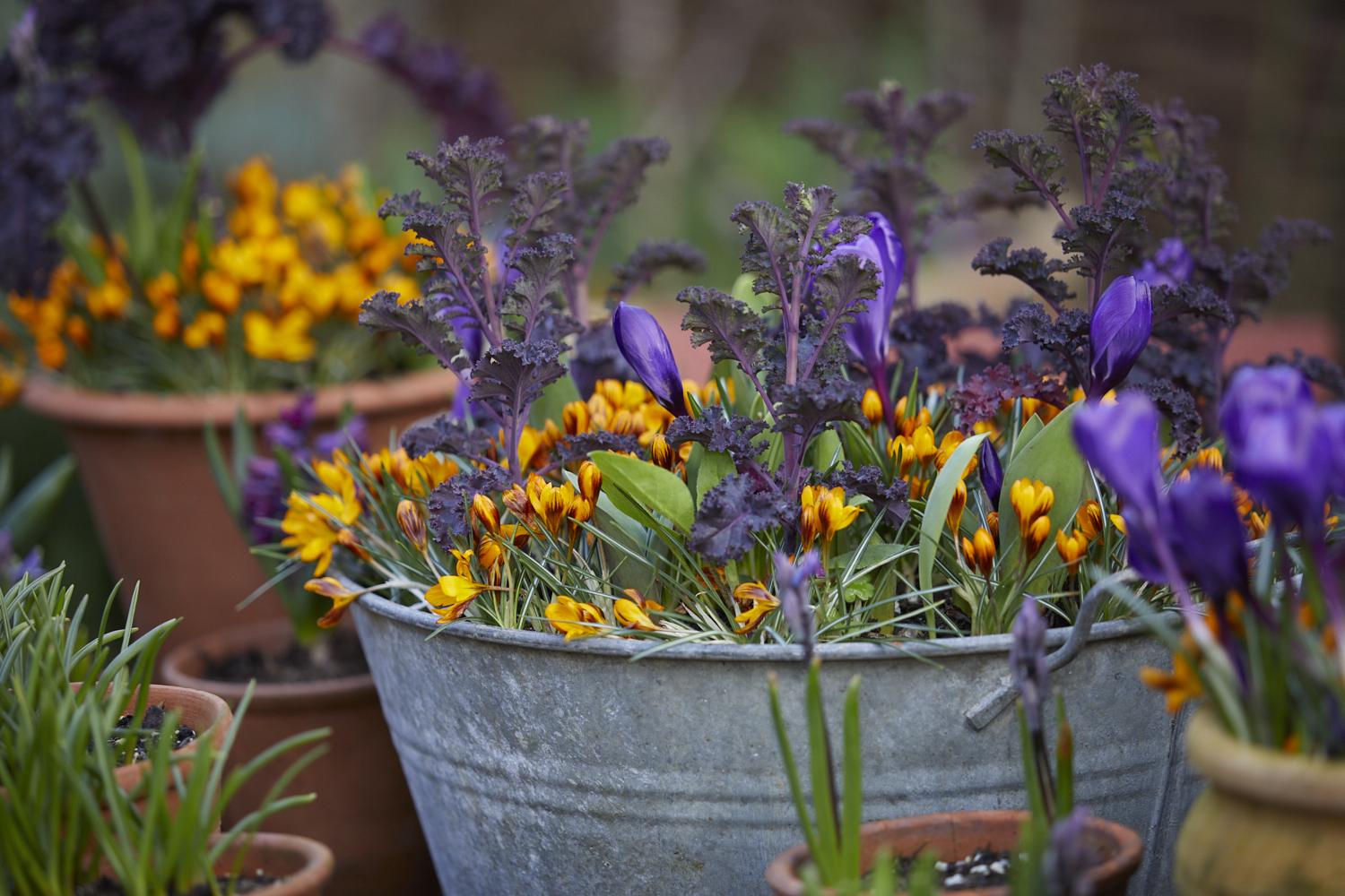 Garden Visit: Arthur Parkinson's New Flower Yard - Gardenista