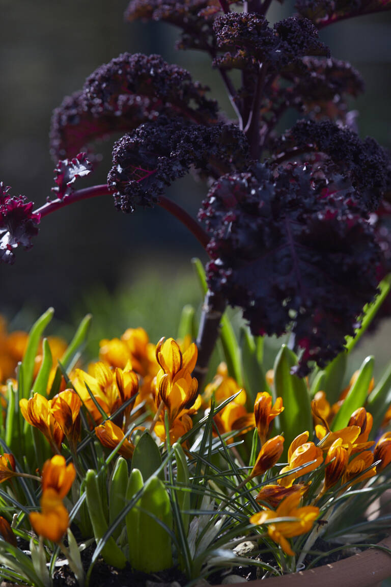 Garden Visit: Arthur Parkinson's New Flower Yard - Gardenista