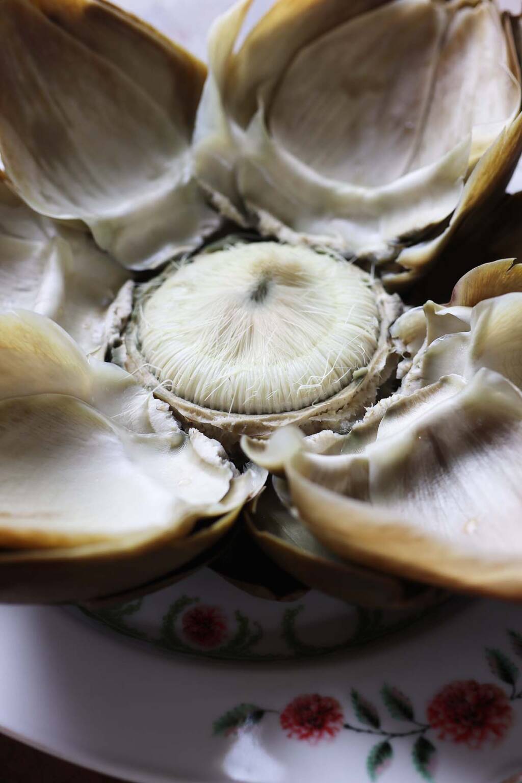 To Eat or to Admire: Growing Artichokes for Food and Flowers - Gardenista