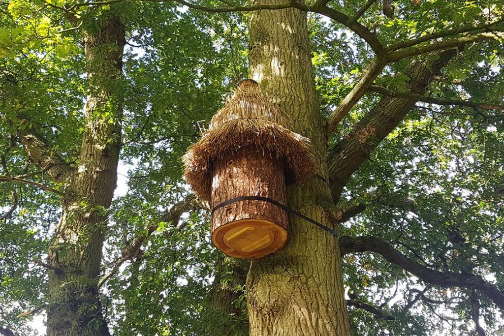Object of Desire: Wild Bee Hives - Gardenista