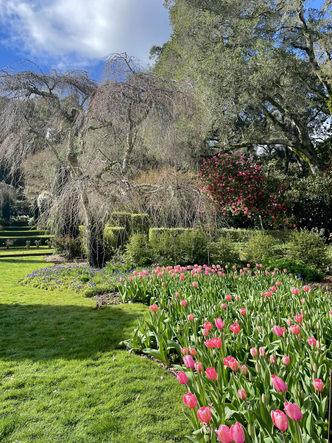 Garden Visit: Filoli Historic House and Garden in Woodside, CA - Gardenista