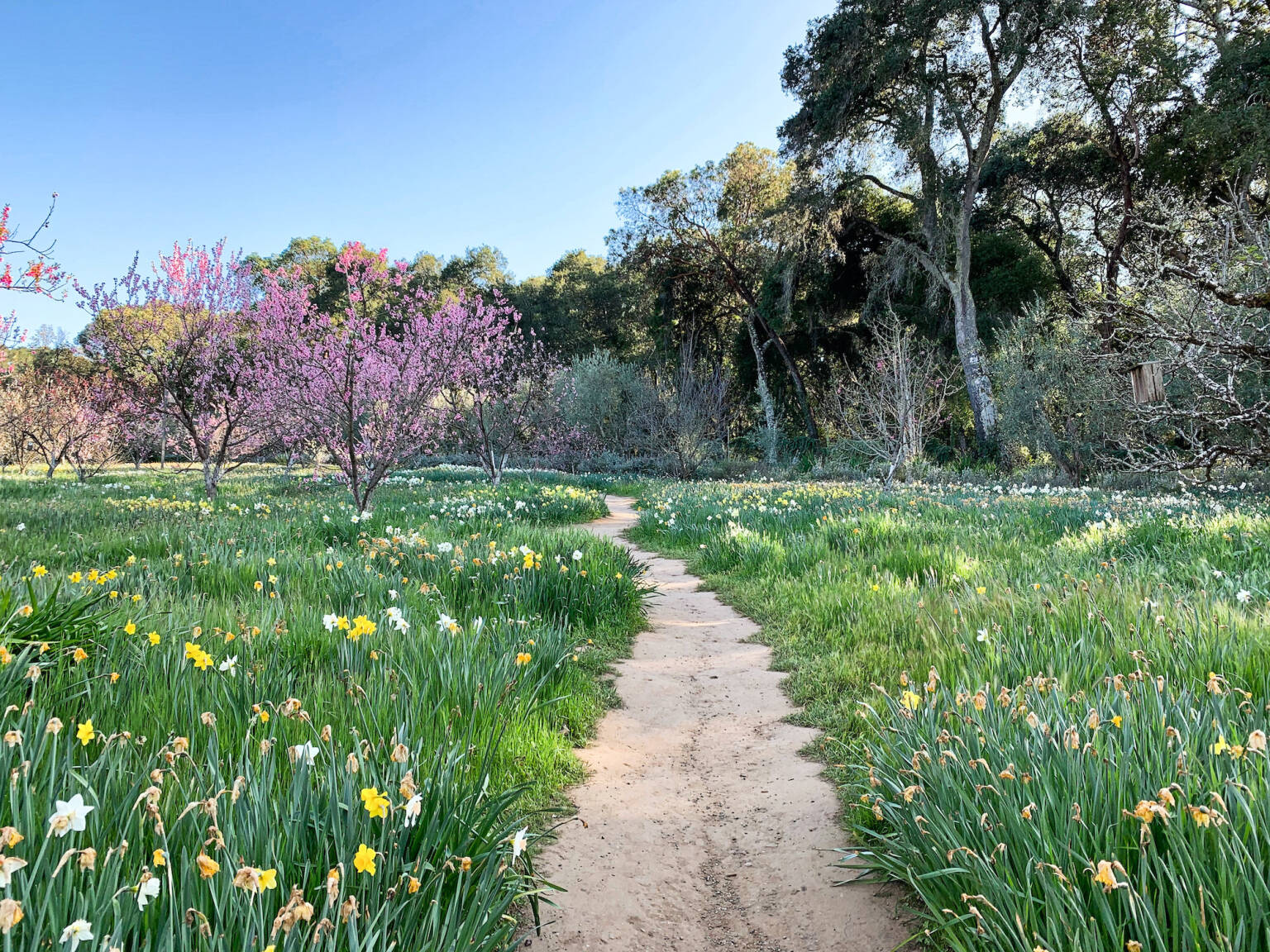 Garden Visit: Filoli Historic House and Garden in Woodside, CA - Gardenista