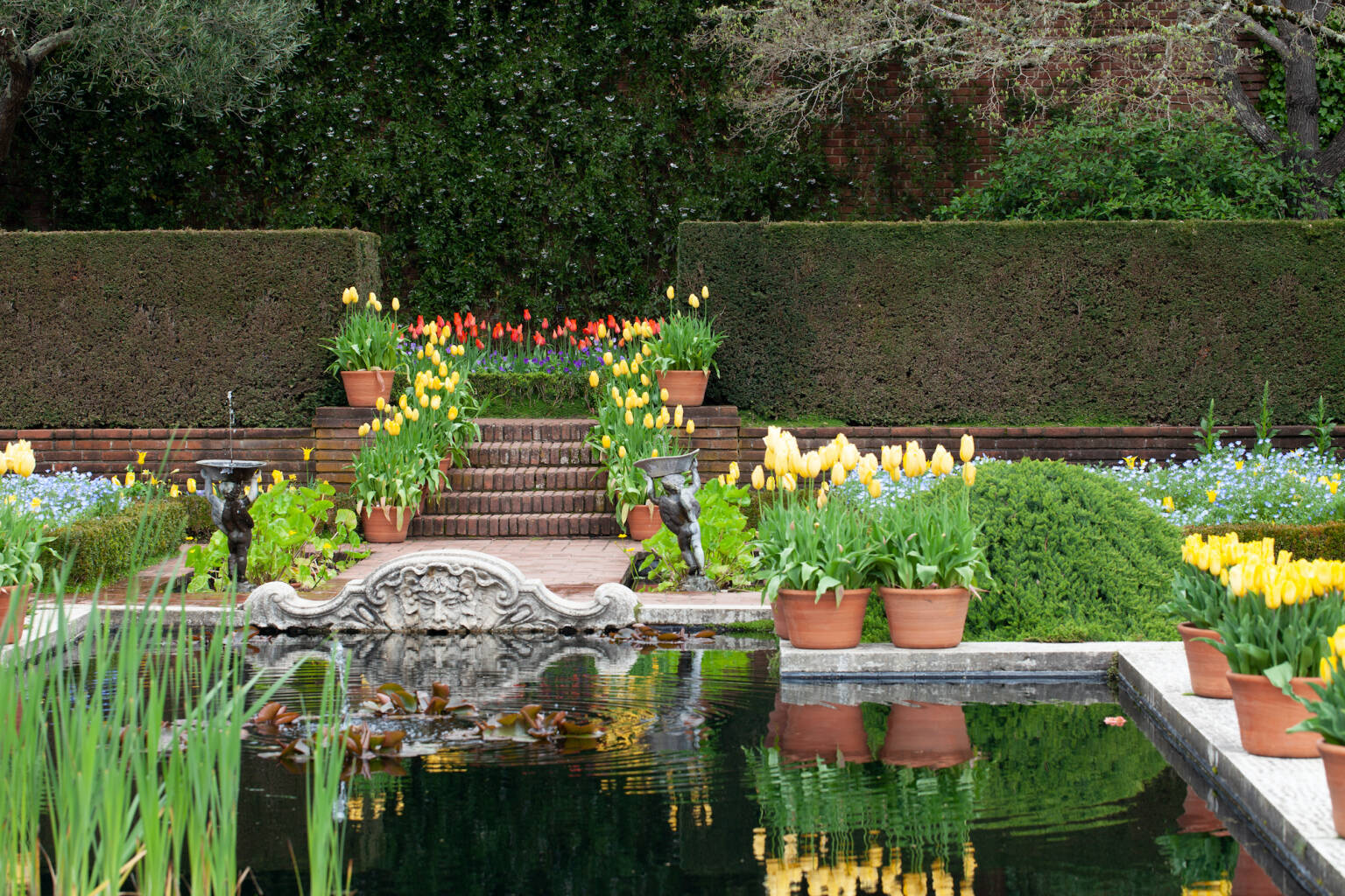 Garden Visit: Filoli Historic House and Garden in Woodside, CA - Gardenista