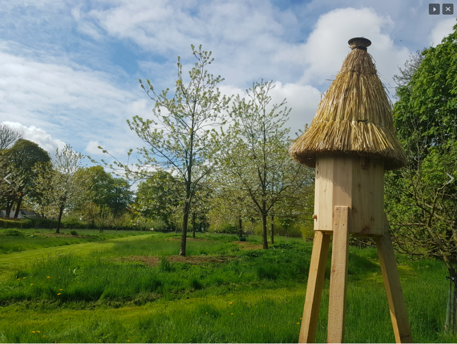 Object of Desire: Wild Bee Hives - Gardenista