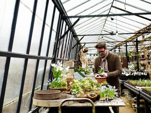 The School of Garden Inspiration: A Series of Summer Workshops From a ...