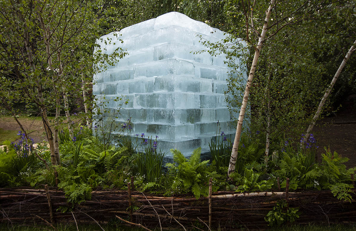 Chelsea Flower Show 2022 Preview: Wilderness and Wattling - Gardenista