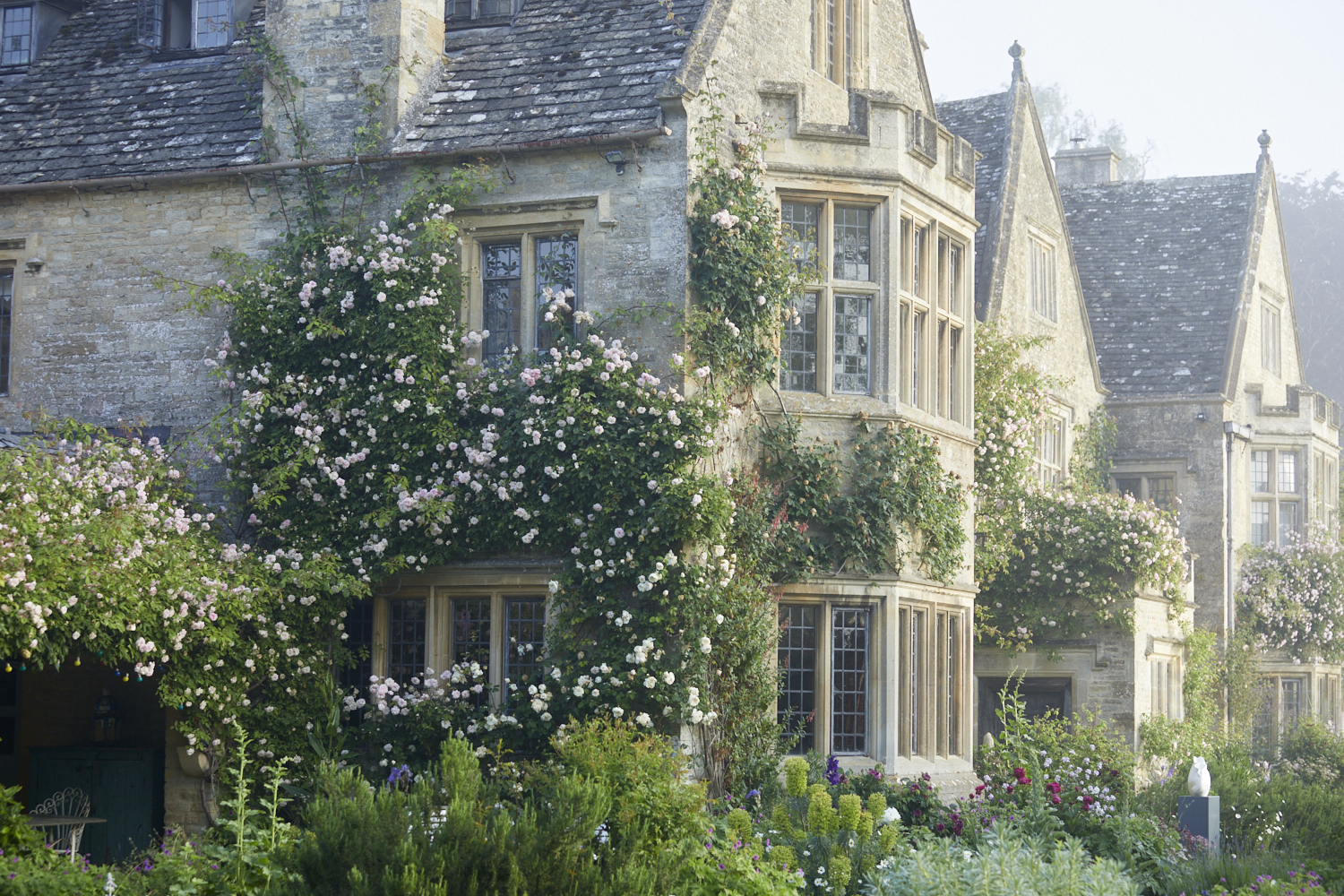 In Appreciation of the Old Roses at Asthall Manor - Gardenista