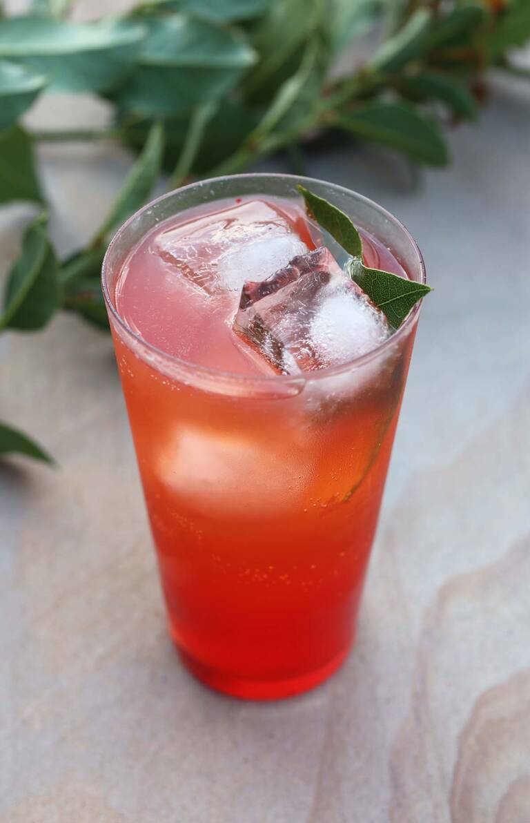 The Indoor Bay Tree: Perfect Houseplant? - Gardenista