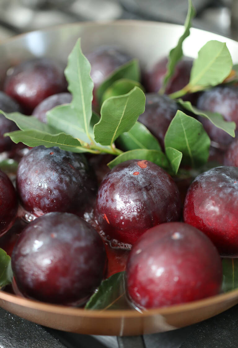 The Indoor Bay Tree: Perfect Houseplant? - Gardenista