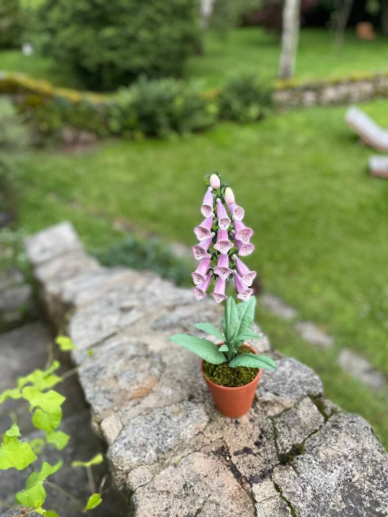 Shopper's Diary: Cabinet de Porcelaine, Paris - Gardenista