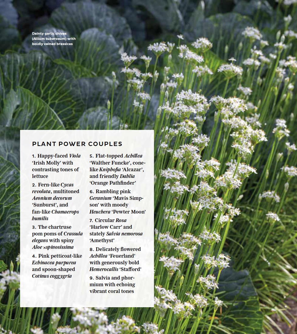 Power Couples: Kier Holmes Shares Her Favorite Plant Pairings - Gardenista