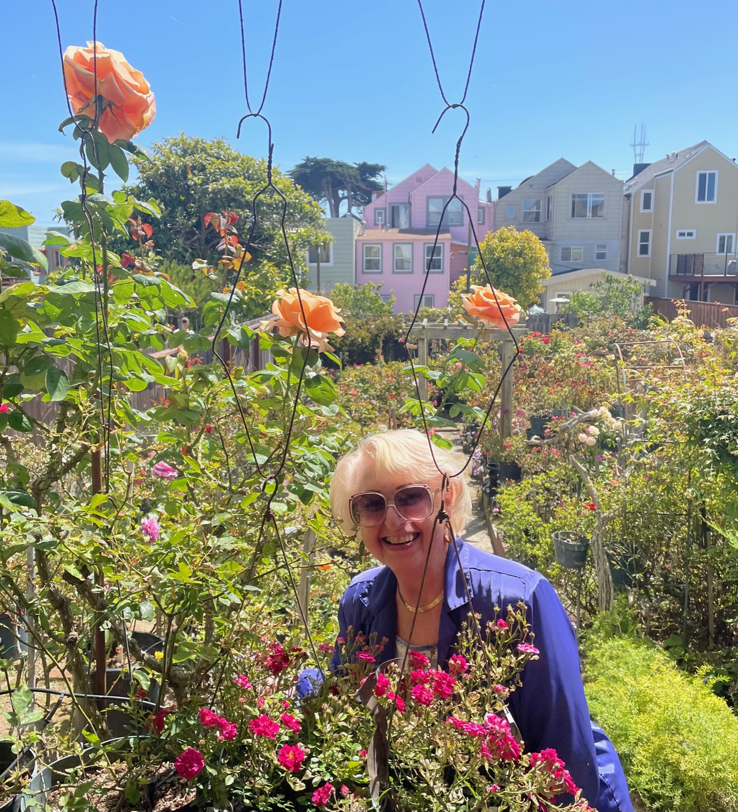 Expert Advice: A Rosarian on Whether to Spray, When to Fertilize, and ...