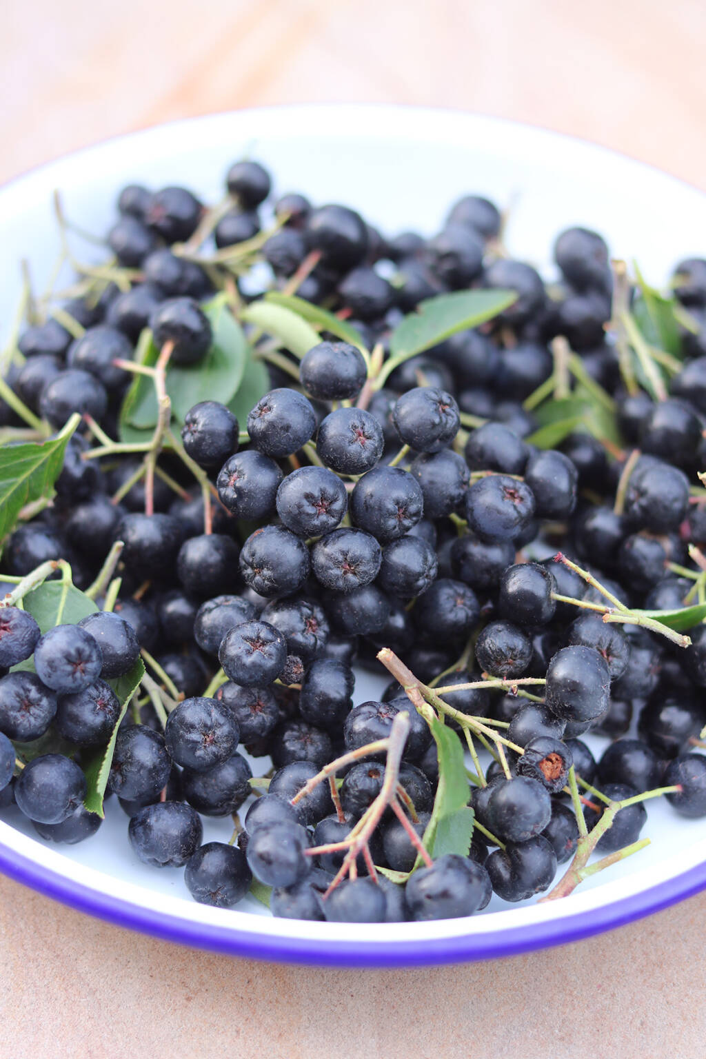 Aronia: Grow Your Own Superfood - Gardenista