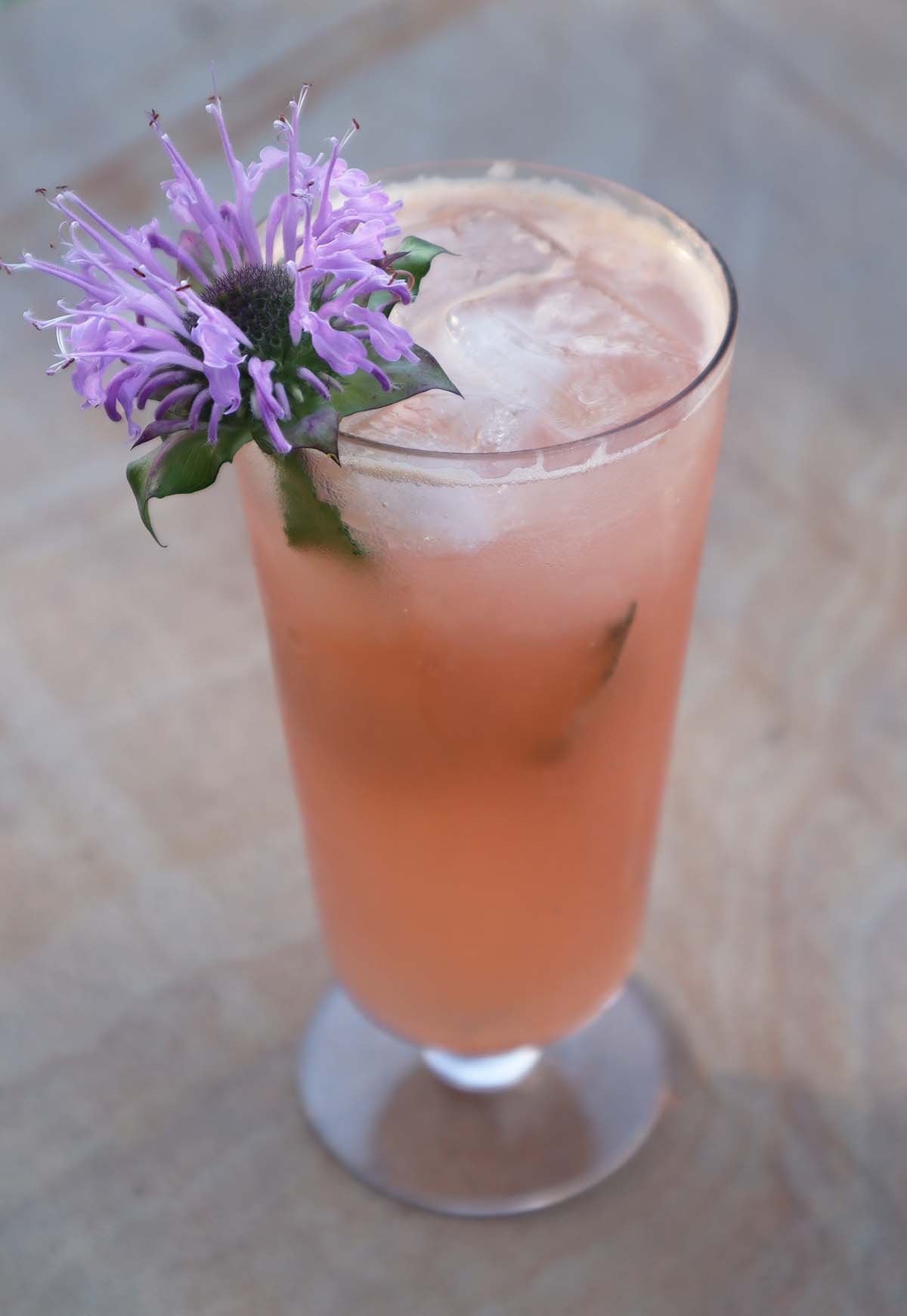 Native Bee Balm: Pollinator-Friendly and Delicious, Too - Gardenista