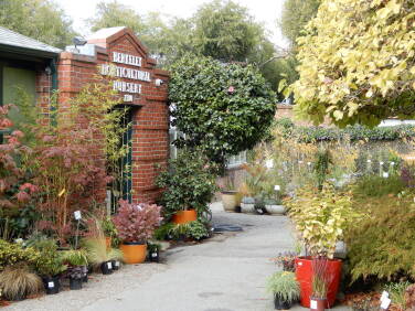 Shopper's Diary: Berkeley Horticultural Nursery - Gardenista