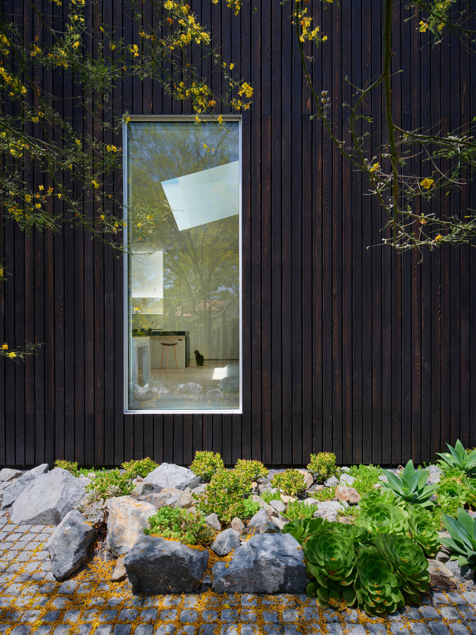 Landscape Architecture: Curb Appeal and a Cactus Fence for a Modern LA ...