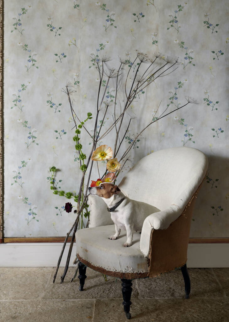 Botanical wallpapers by Flora Roberts from Hamilton Weston