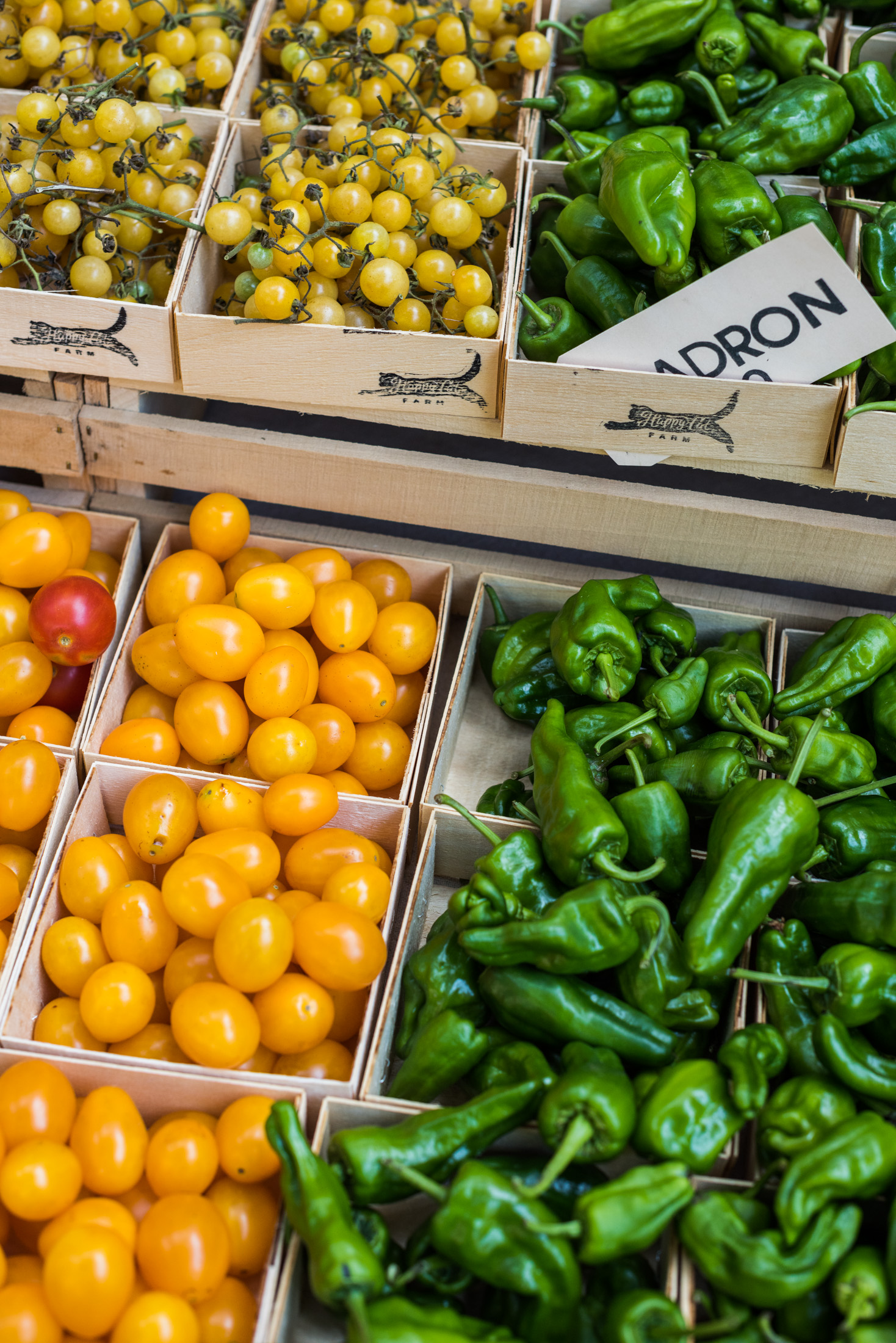 Ask the Expert: Tim Mountz of Happy Cat Farm on How to Grow Your Own ...