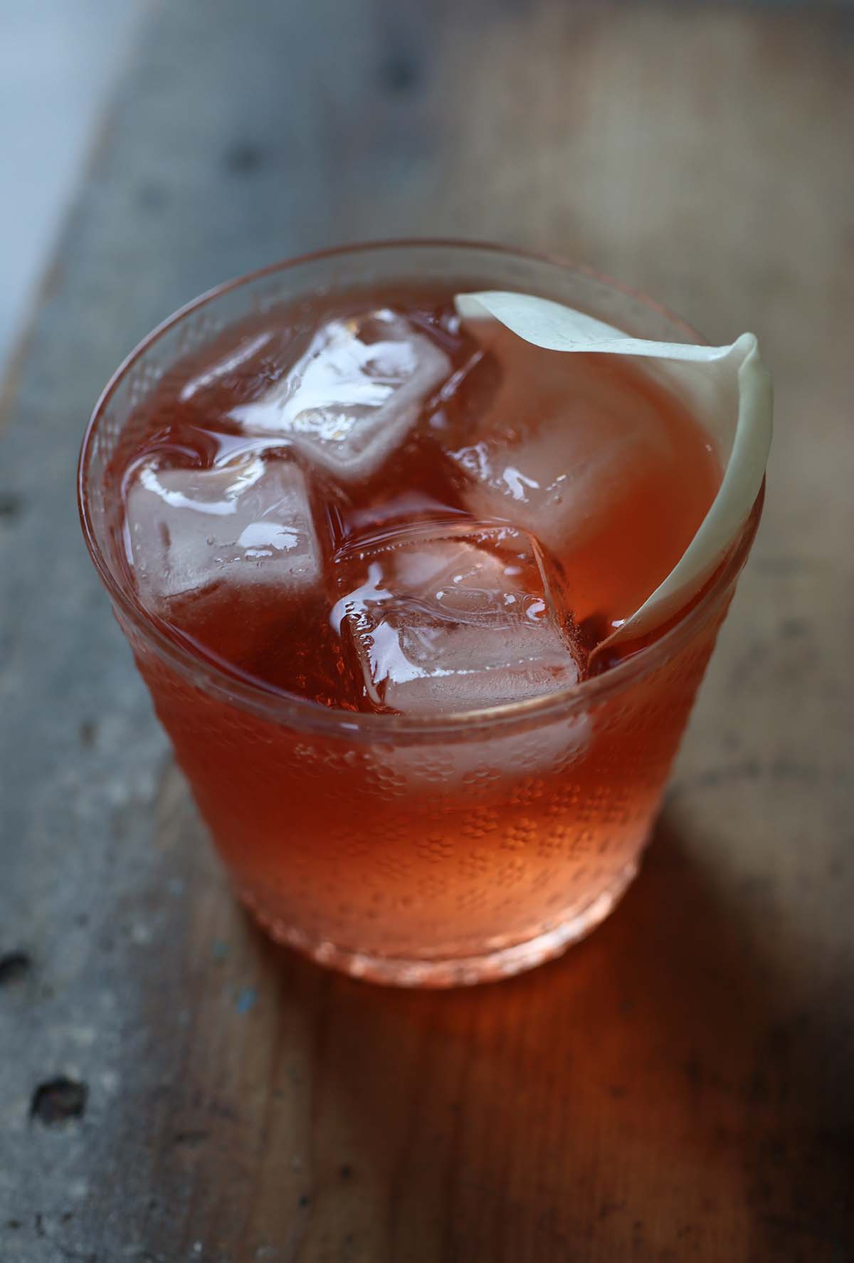 Magnolia Grandiflora: Ancient Flower, Fresh Flavor - Gardenista