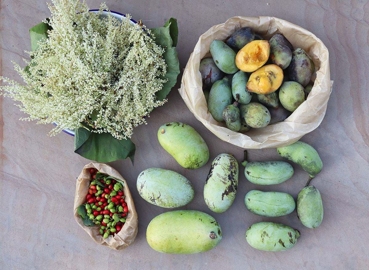 Pawpaw: A Native Fruit that Tastes Like the Tropics - Gardenista