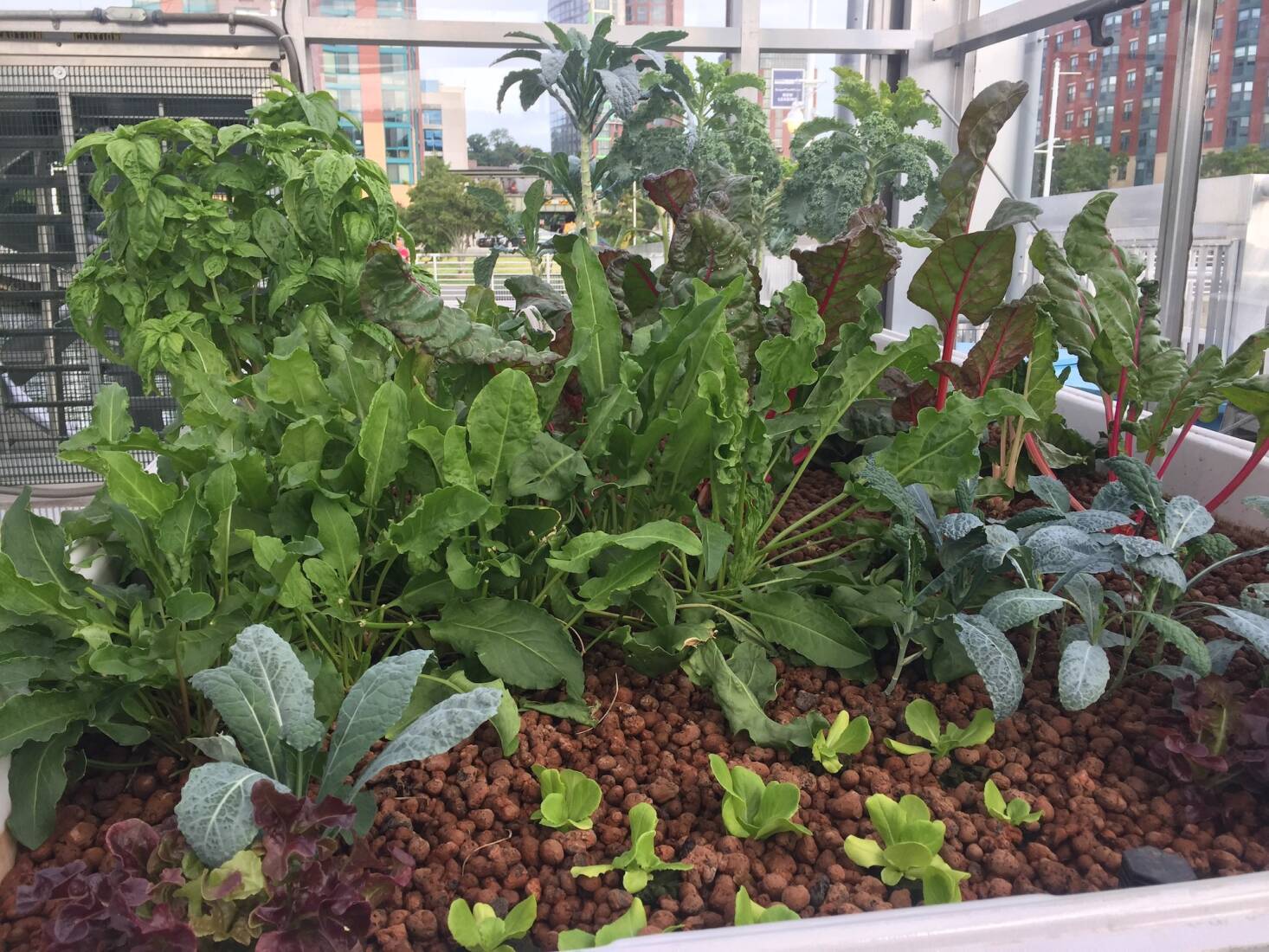 Groundwork Hudson Valley's Science Barge: A Floating Educational Farm ...