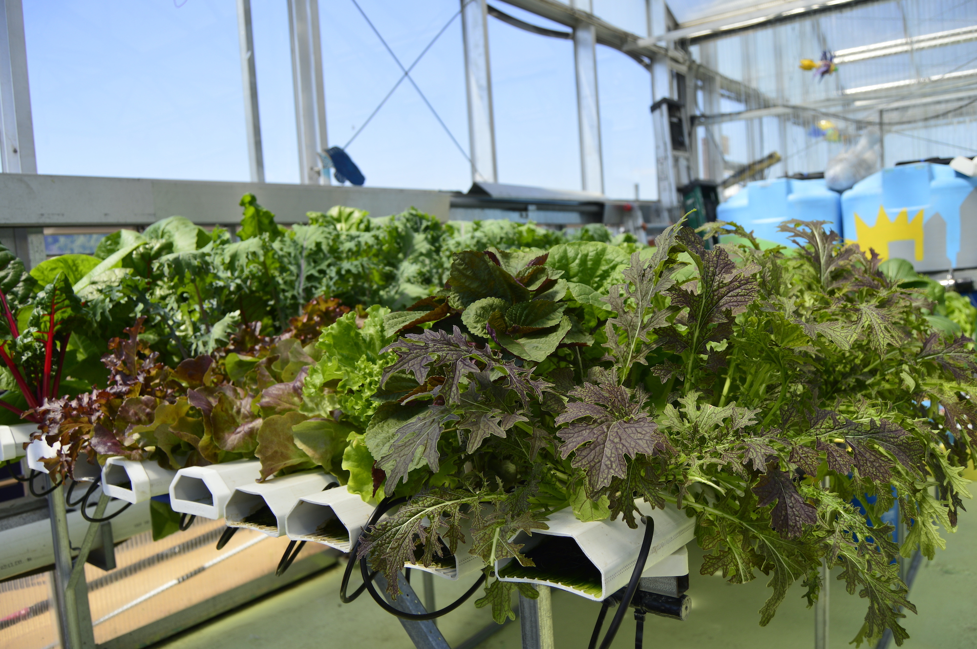 Groundwork Hudson Valley's Science Barge: A Floating Educational Farm ...