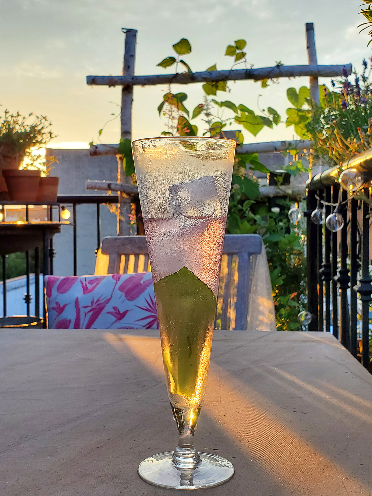 Sand Ginger: An Unusual Herb to Grow and Eat at Home - Gardenista