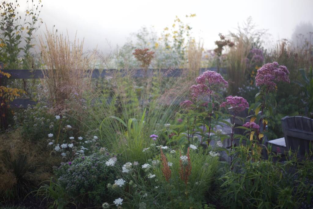 A Sense of Place: The Work of Garden Designer Caleb Davis in Maine ...